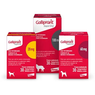 Galliprant 60mg. Frasco con 30 tabletas. Elanco